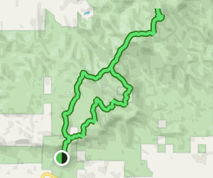 Amicalola Falls, Frosty Mountain, and Springer Mountain Loop: 180 ...