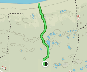 Lake Michigan via Platte River Campground : 47 Reviews, Map - Michigan ...