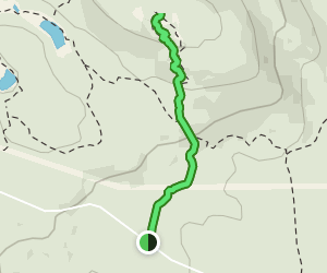 Mount Wilson: 17 Reviews, Map - British Columbia, Canada | AllTrails