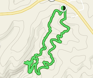 Bunkum Cave Trail: 172 Reviews, Map - Tennessee | AllTrails