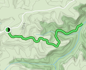 Middle Ridge Trail, Kentucky - 21 Reviews, Map | AllTrails