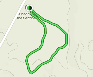 Shadow of the Sentinels Trail: 67 Reviews, Map - Washington | AllTrails
