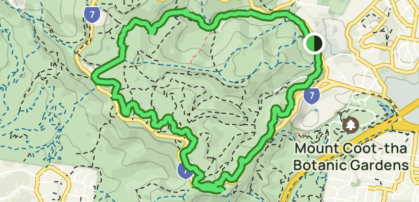 Are Dogs Allowed At Mt Coot Tha Lookout