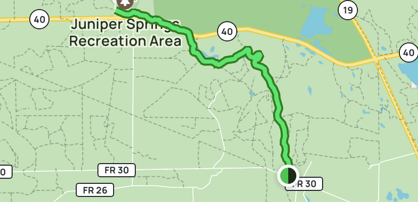 Are Dogs Allowed At Juniper Springs