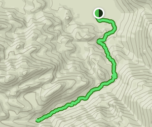 Rattlesnake Canyon: 287 Reviews, Map - California | AllTrails