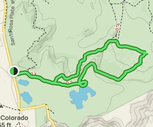 Vernal Pool Trail and Transpreserve Trail Loop: 250 Reviews, Map ...