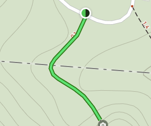 Pinnacle Overlook Trail: 154 Reviews, Map - Tennessee | AllTrails