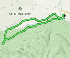 Hidden Falls Ya Ha Tinda | Map, Guide - Alberta, Canada | AllTrails