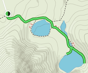 Bloomington Lake Trail: 230 Reviews, Map - Idaho | AllTrails