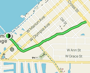Linear Park Bike Path, Florida - 35 Reviews, Map | AllTrails