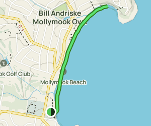 Mollymook Beach Walk: 17 Reviews, Map - New South Wales, Australia ...