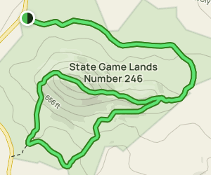 Round Top Trail: 127 Reviews, Map - Pennsylvania | AllTrails