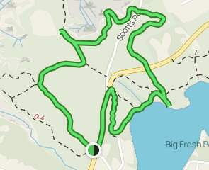 Big Woods Preserve, New York - 51 Reviews, Map | AllTrails