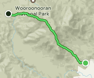 Mount Bartle Frere via Western Summit Camp and Junction Camp: 195 foto ...