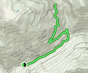 Airplane Creek and Foley Creek FSR: 8 Reviews, Map - British Columbia ...