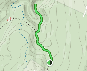 Devil’s Pond Trail, West Virginia - 24 Reviews, Map | AllTrails