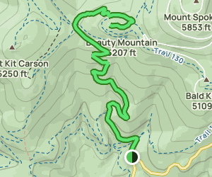 Beauty Mountain via Trail 110: 139 Reviews, Map - Washington | AllTrails