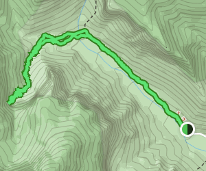 Big Falls Trail: 1303 Reviews, Map - Nevada | AllTrails