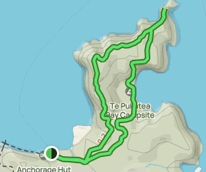 Pitt Head Loop: 36 Reviews, Map - Nelson-Tasman, New Zealand | AllTrails