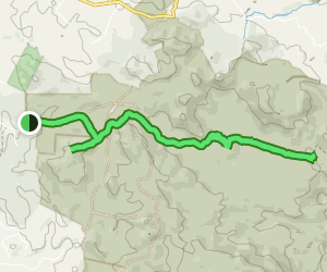 Cardwell Range Track and Majors Mountain: 3 Reviews, Map - Queensland ...