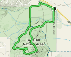 Bald Hill via Midge Cramer Path and Bald Hill Loop: 556 foto's - Oregon ...