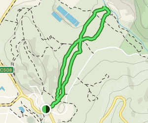 Michaeldene Trail to Taggerty River Lookout | Map, Guide - Victoria ...