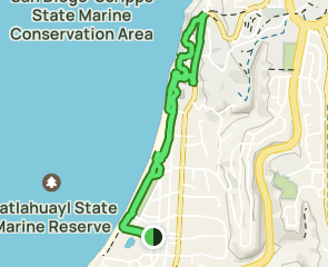 Tide Pools Walk, California - 369 Reviews, Map | AllTrails
