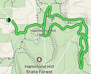Hammond Hill and Radio Tower Loop Trail: 140 foto - New York | AllTrails