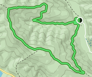 Hone Quarry Loop Trail: 144 Reviews, Map - Virginia | AllTrails