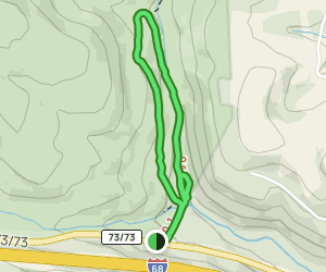 Virgin Hemlock to Tyrone Trail Loop: 344 Reviews, Map - West Virginia ...
