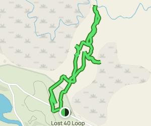 Lost '40' Trail: 113 Reviews, Map - Minnesota | AllTrails