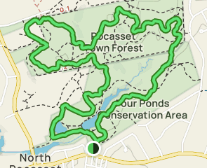 Pine Trail: 217 Reviews, Map - Massachusetts | AllTrails