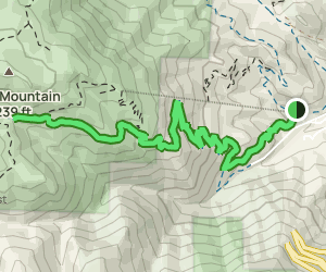Barr Trail: 419 Reviews, Map - Colorado | AllTrails