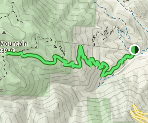 AllTrails | Barr Trail: 431 Reviews, Map - Colorado