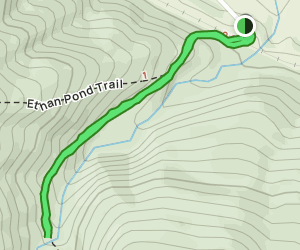 Ripley Falls Trail: 681 Reviews, Map - New Hampshire | AllTrails