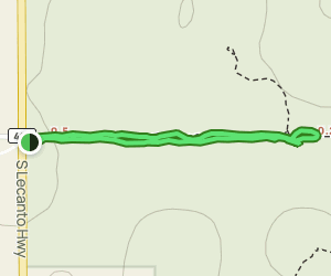 Dames Cave: 443 Reviews, Map - Florida | AllTrails