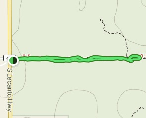Dames Cave, Florida - 485 Reviews, Map | AllTrails