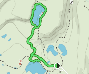Cliff Lake via Clyde Lake Trail: 116 Reviews, Map - Utah | AllTrails