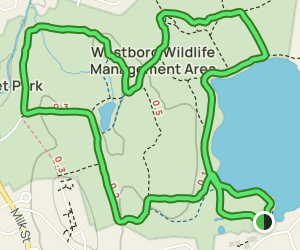 Westboro Wildlife Management Area and Chauncy Lake Loop: 289 Reviews ...