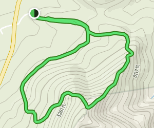 Raven Rock Trail: 147 Reviews, Map - Tennessee | AllTrails