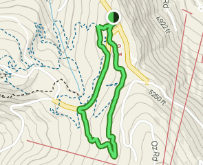 Wizards Way, North Carolina - 164 Reviews, Map | AllTrails