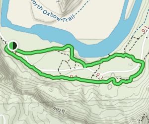 Ancient Forest Loop: 183 Reviews, Map - Oregon | AllTrails