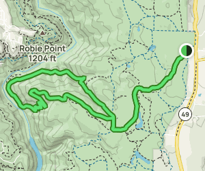 Salt Creek Loop: 314 Reviews, Map - California | AllTrails