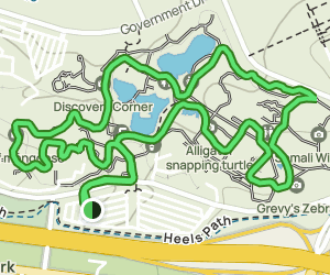 Saint Louis Zoo: 256 Reviews, Map - Missouri | AllTrails