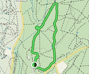 Forest of Dean Sculpture Trail Circular Walk: 362 foto ...