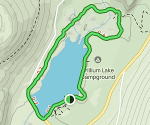 Trillium Lake Loop Trail: 2007 Reviews, Map - Oregon | AllTrails