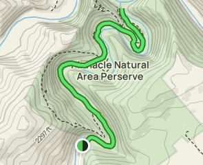Big Falls via Pinnacle Trail, Virginia - 378 Reviews, Map | AllTrails