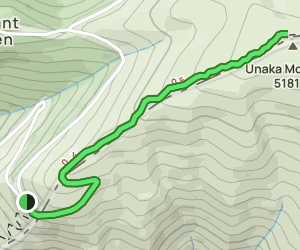 Unaka Mountain: 49 Reviews, Map - Tennessee | AllTrails