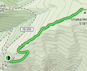 Unaka Mountain, Tennessee - 56 Reviews, Map | AllTrails
