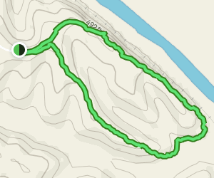 Magnolia Hollow Trail: 73 Reviews, Map - Missouri | AllTrails